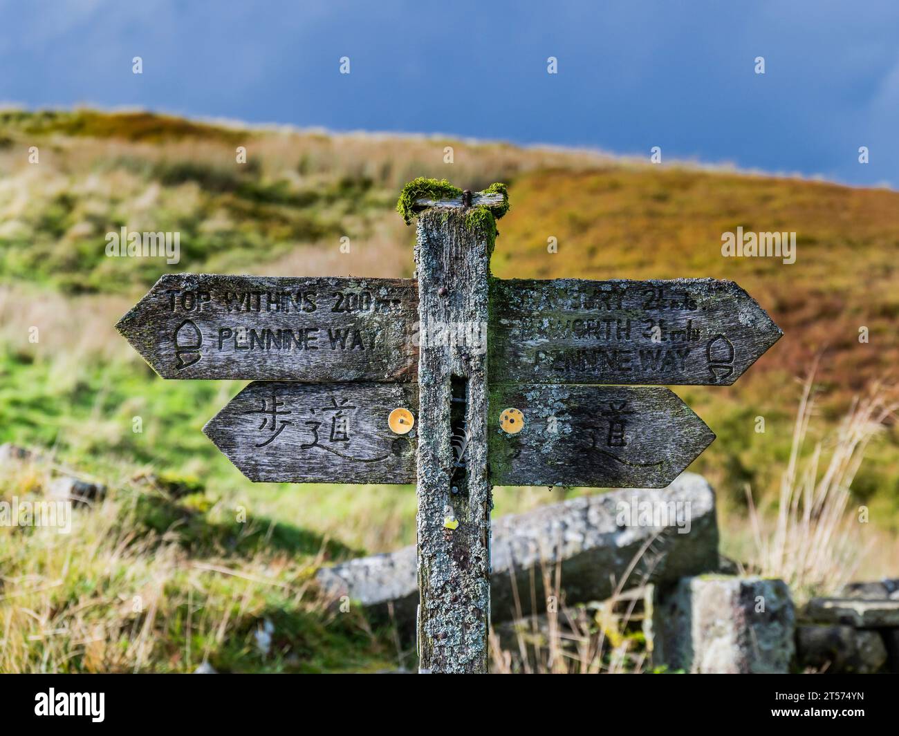 Signposts include Japanes Characters because of teh number of asian ...