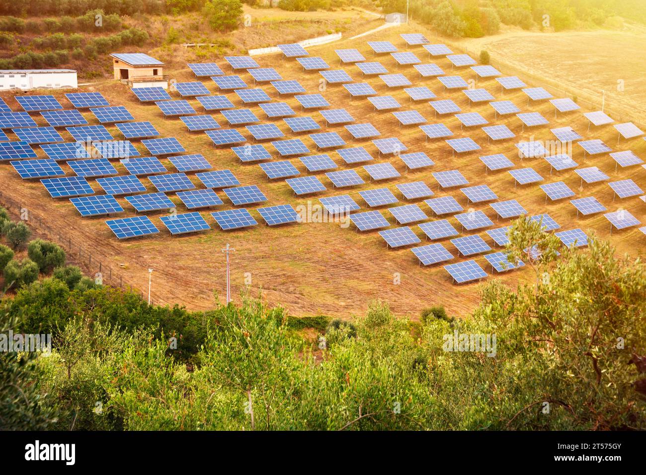 Solar farm. Solar panels in countryside, green energy, invironment ...