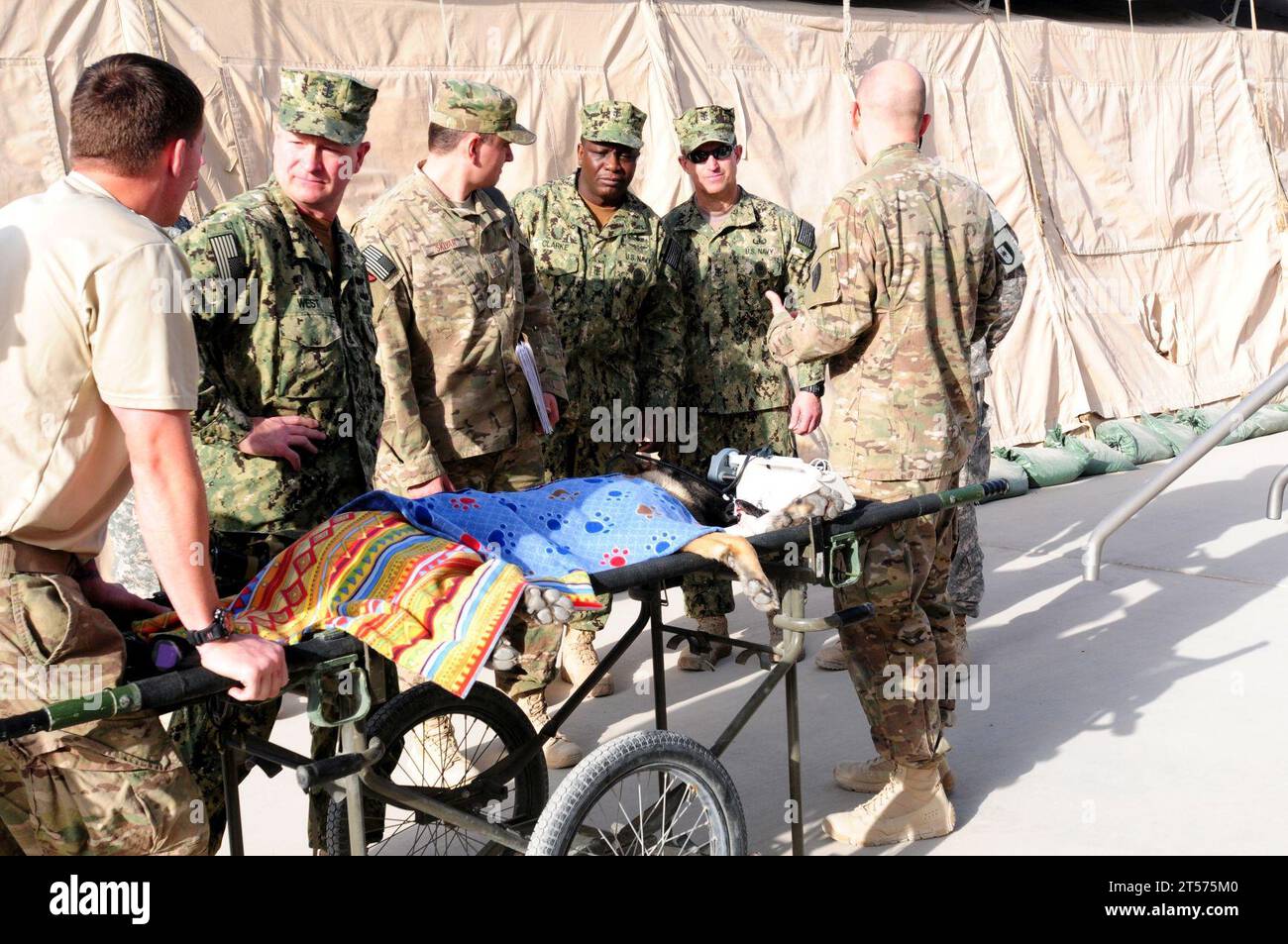 US Navy Master Chief Stock Photo - Alamy