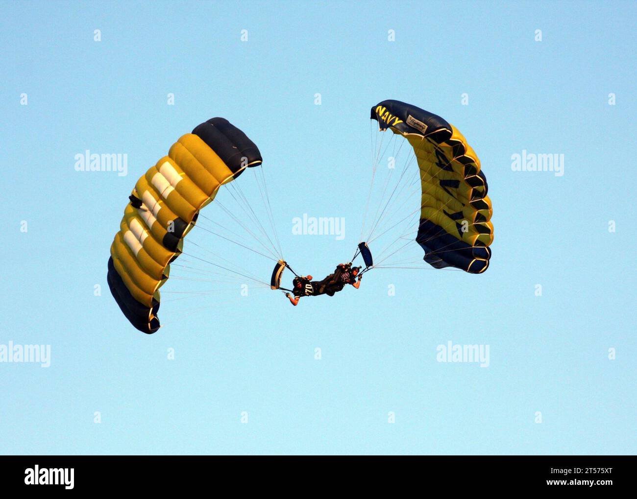 US Navy Members of the U.S. Navy parachute demonstration team, the Leap ...