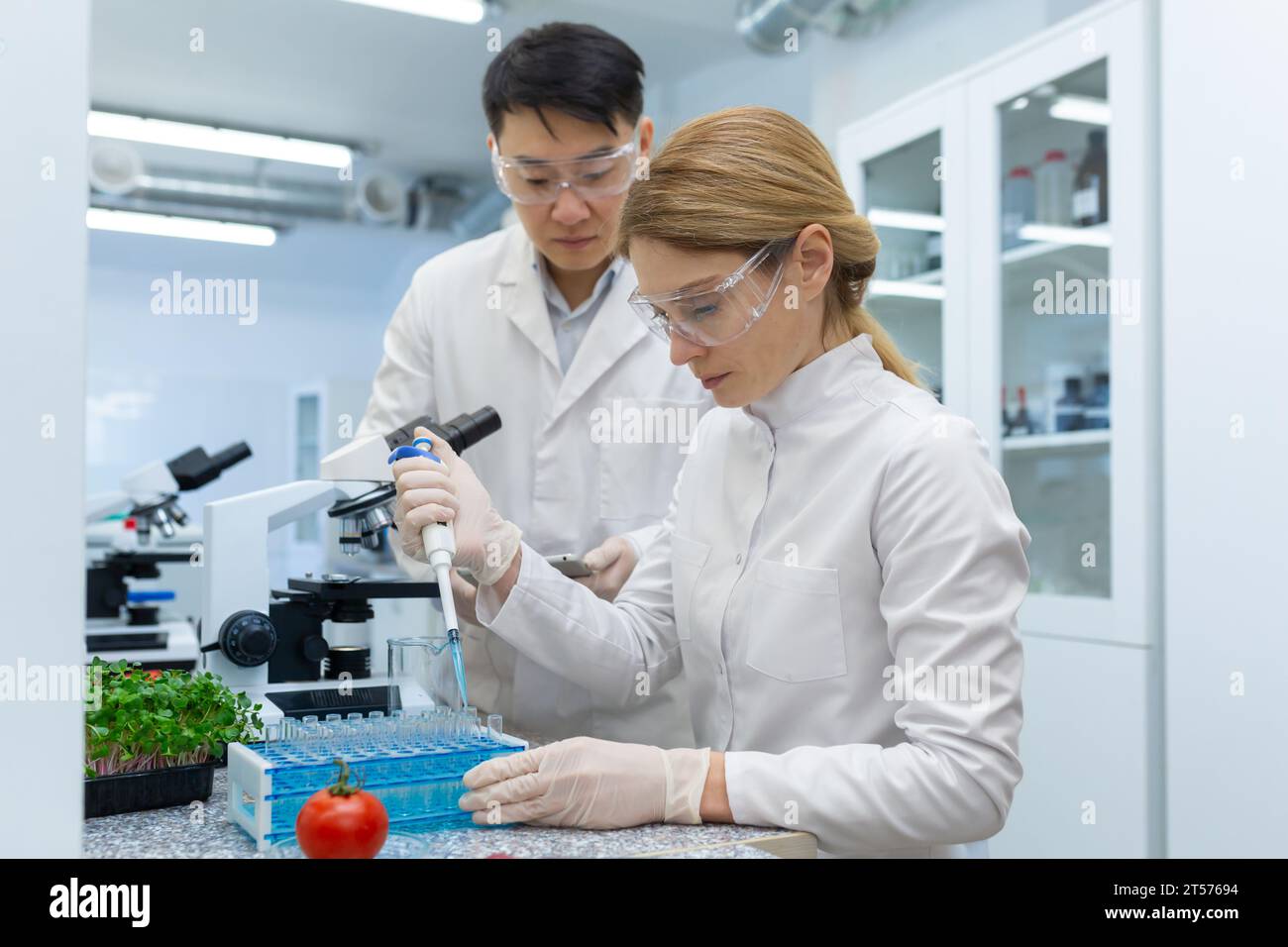 Scientist assistant conduct chemical experiments hi-res stock ...