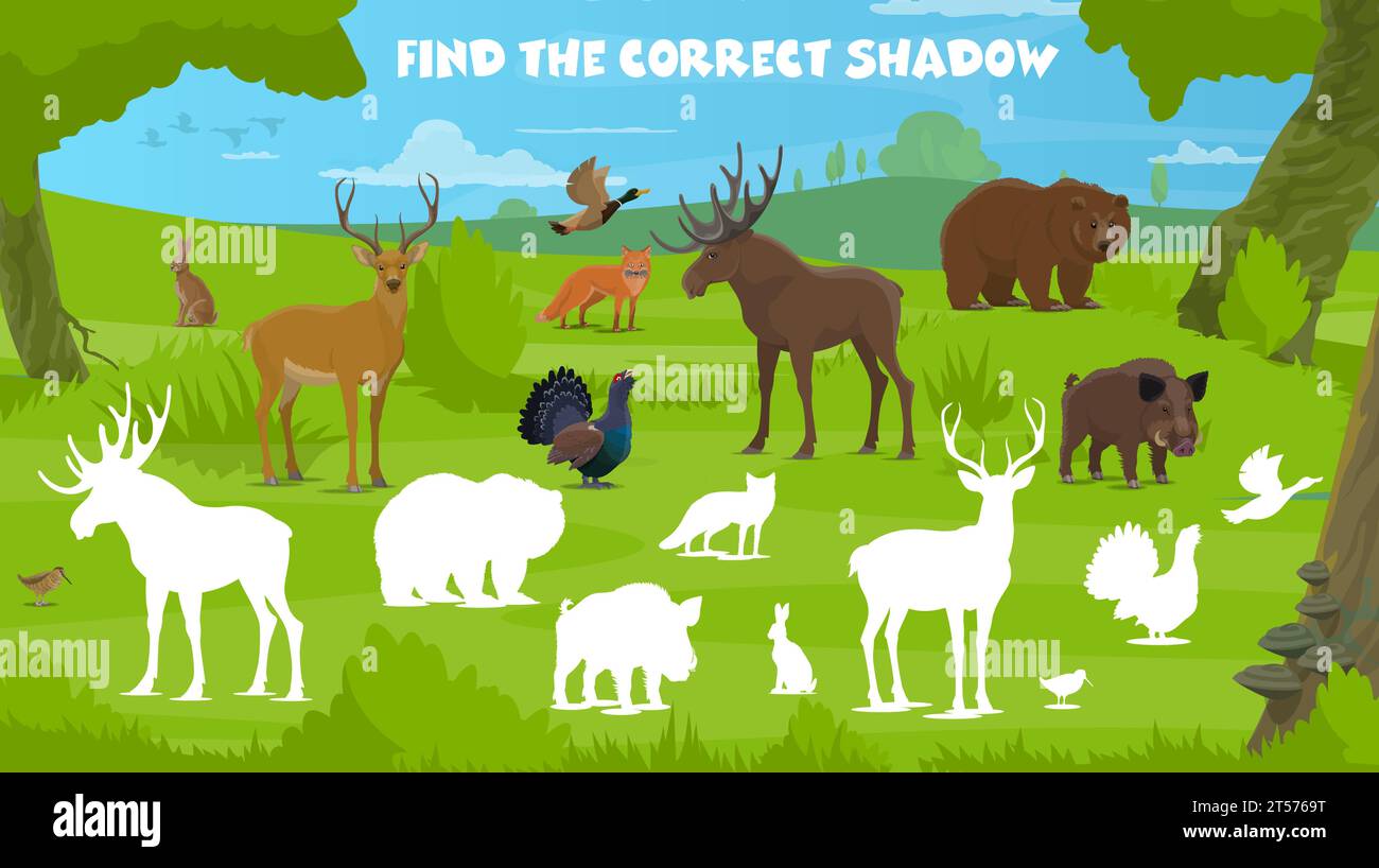 Find correct shadow of forest hunting animals, vector kids quiz ...