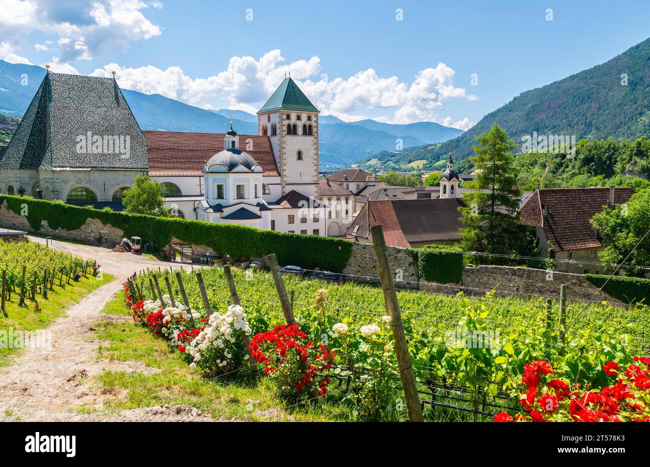 NOVACELLA ABBEY AND ITS VINEYARDS, VAHRN, EISACK VALLEY, TRENTINO-ALTO ...