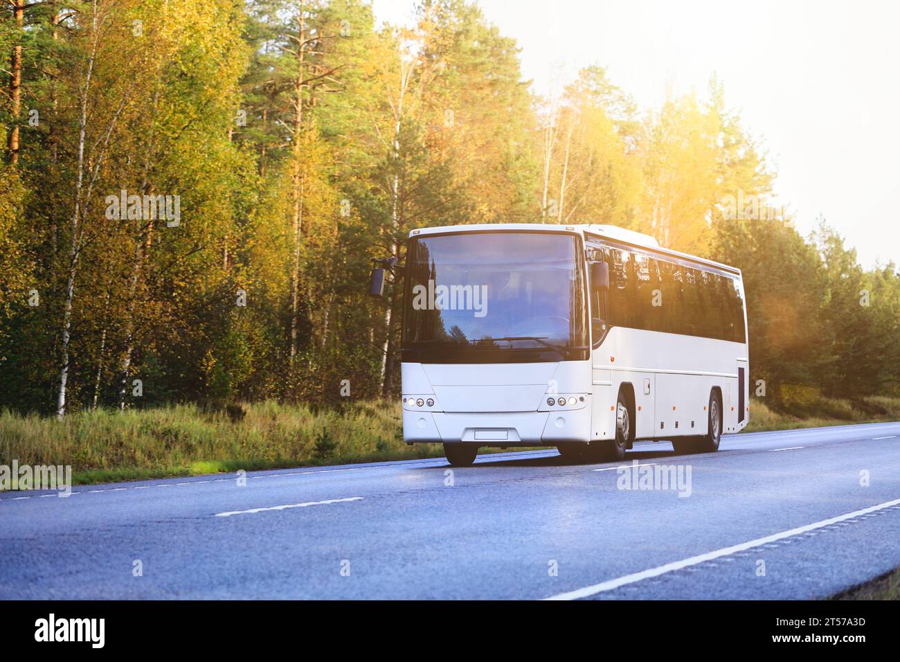 White coach bus at speed on highway in autumnal early morning sunlight ...