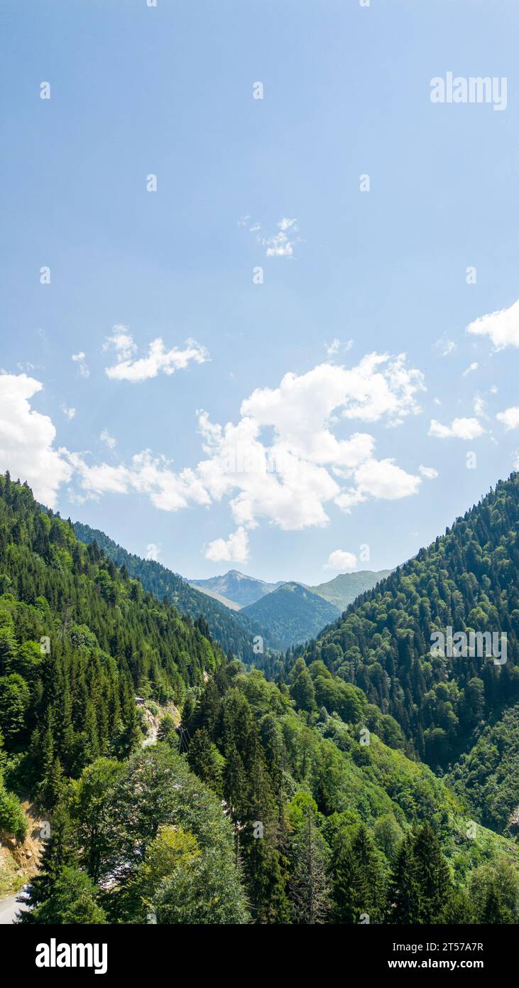 Mountain covered with forests. Aerial view forest. The mountain range ...