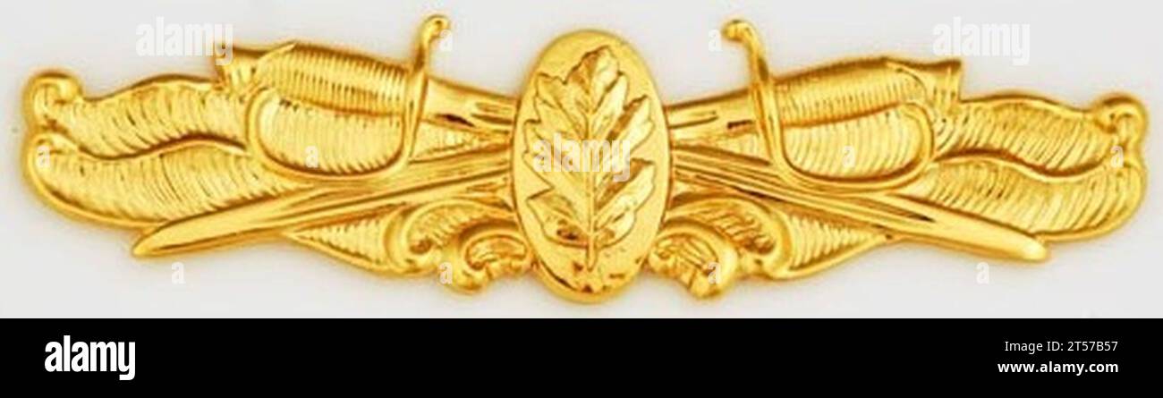 US Navy Surface Warfare - Nurse Corps insignia.jpg Stock Photo - Alamy