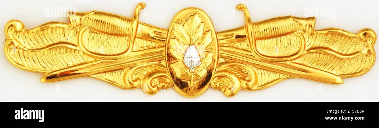 US Navy Surface Warfare - Medical Corps insignia.jpg Stock Photo - Alamy