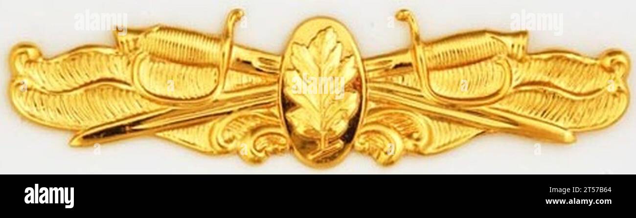 US Navy Surface Warfare - Medical Service Corps insignia.jpg Stock ...