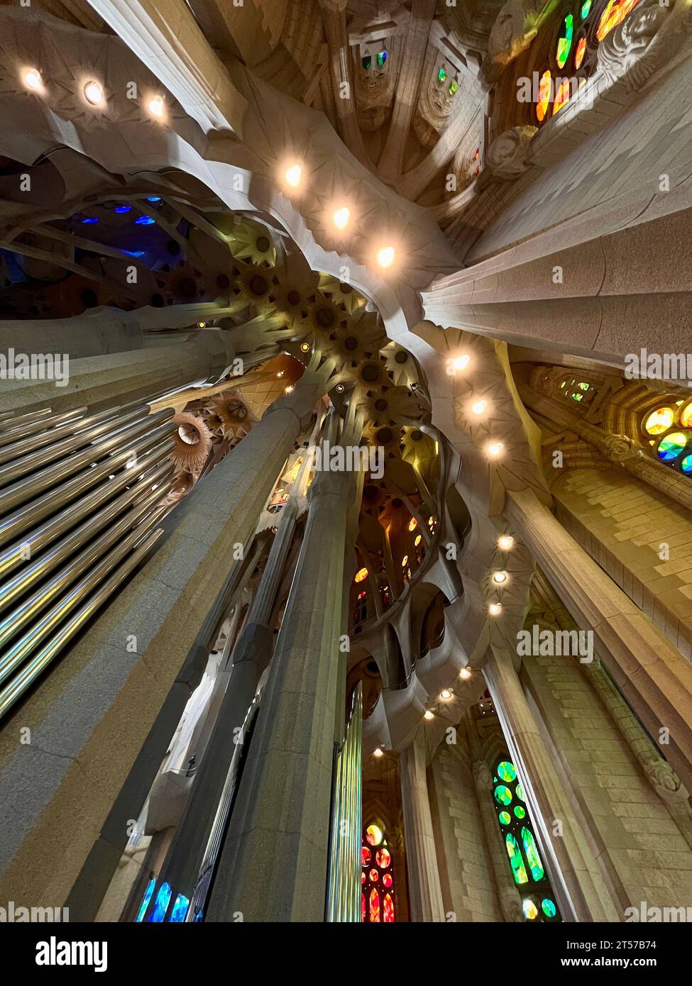 Looking up into the roof space of the Sagrada Familia in Barcelona, A ...