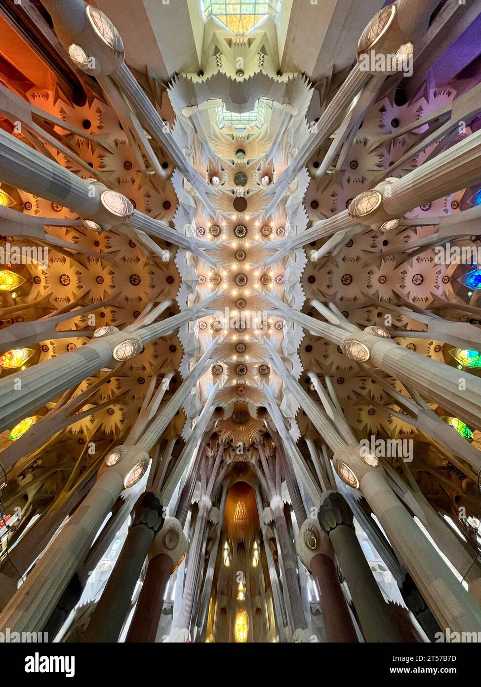 Looking up into the roof space of the Sagrada Familia in Barcelona, A ...