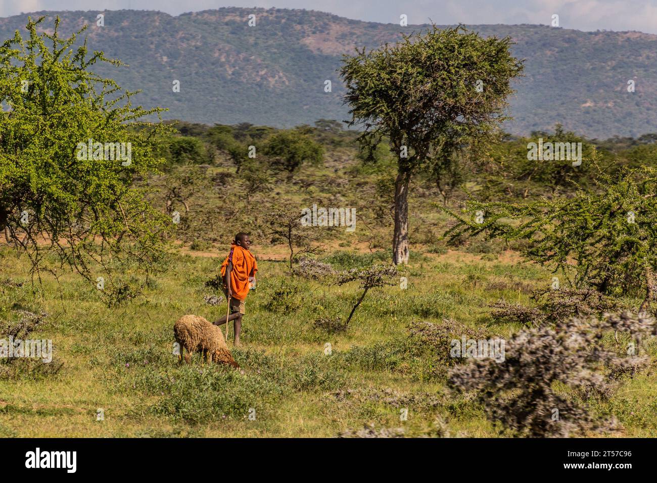 Narok farm hi-res stock photography and images - Alamy