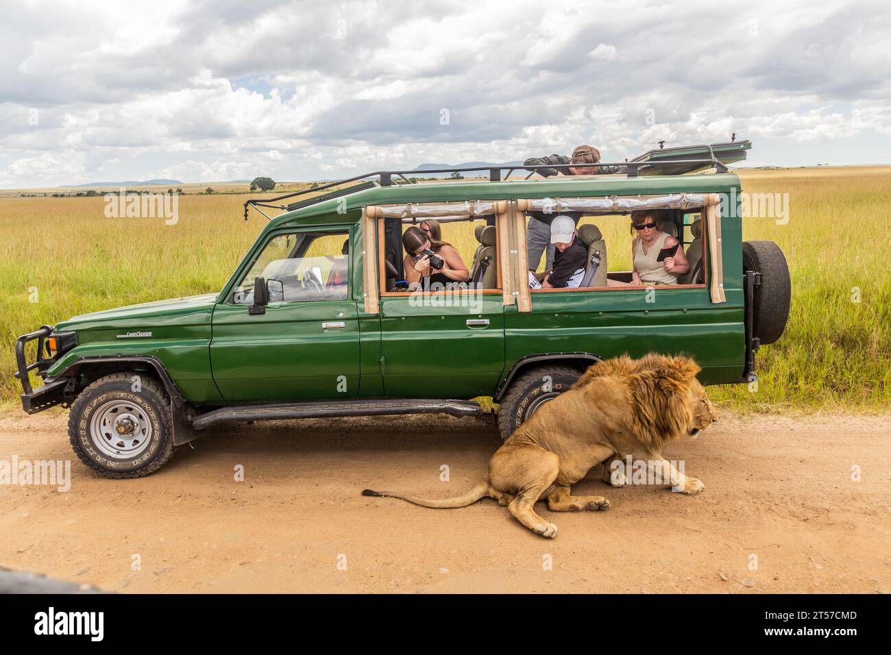 African Lion Safari Car