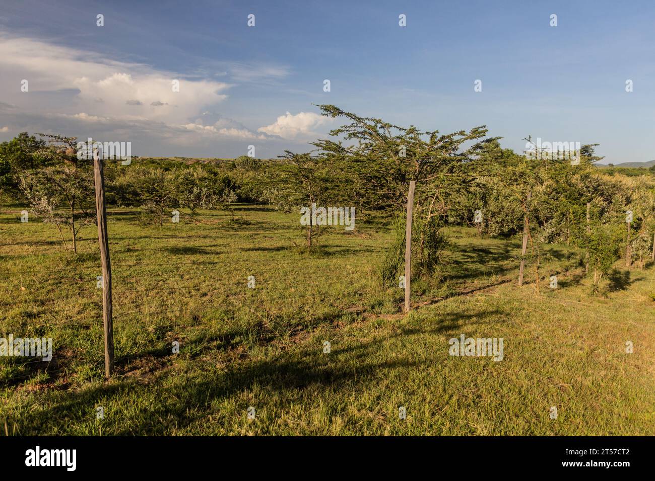 Fence of a camp near Masai Mara National Reserve, Kenya Stock Photo - Alamy