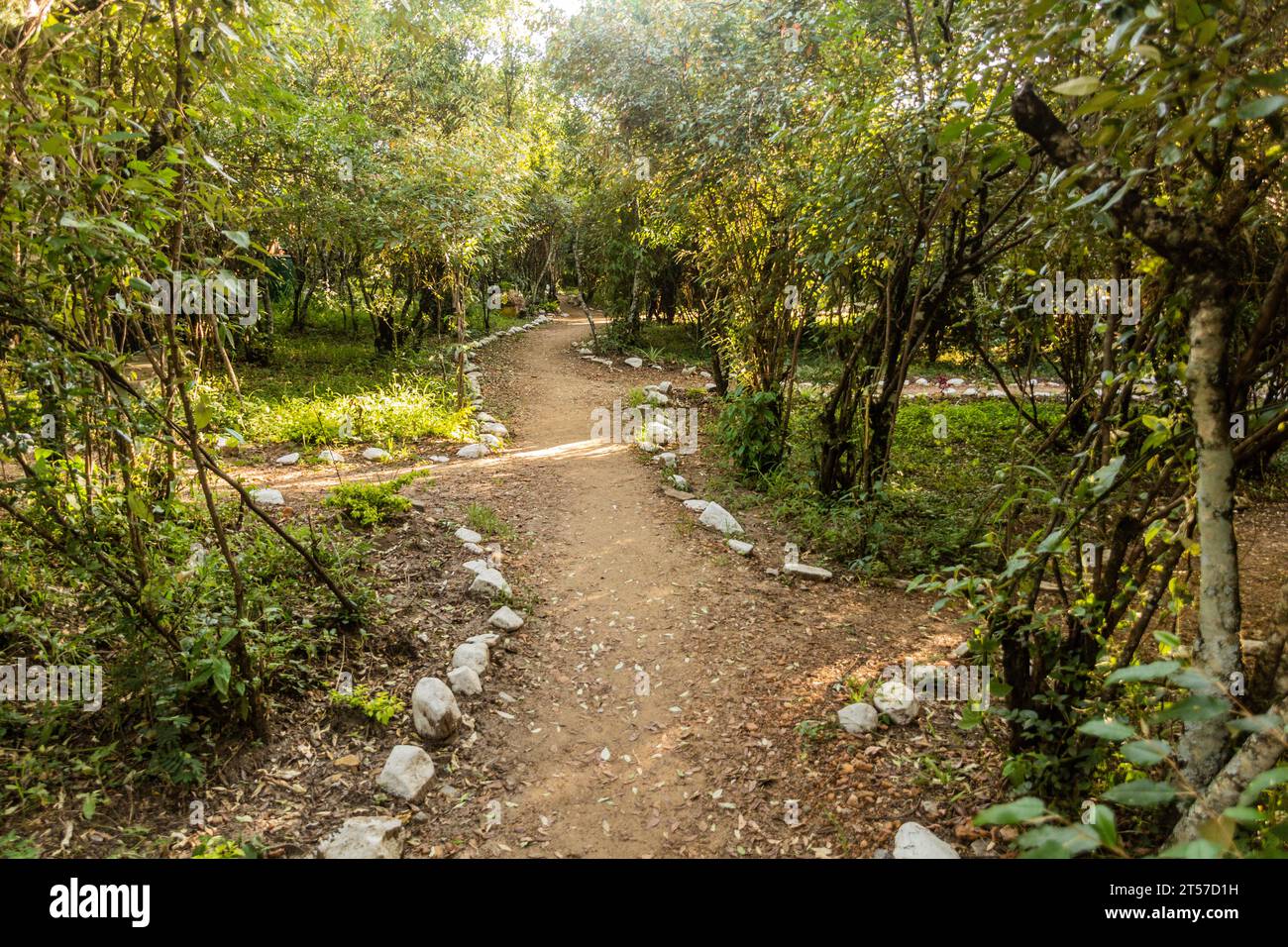 Rustic paths hi-res stock photography and images - Alamy