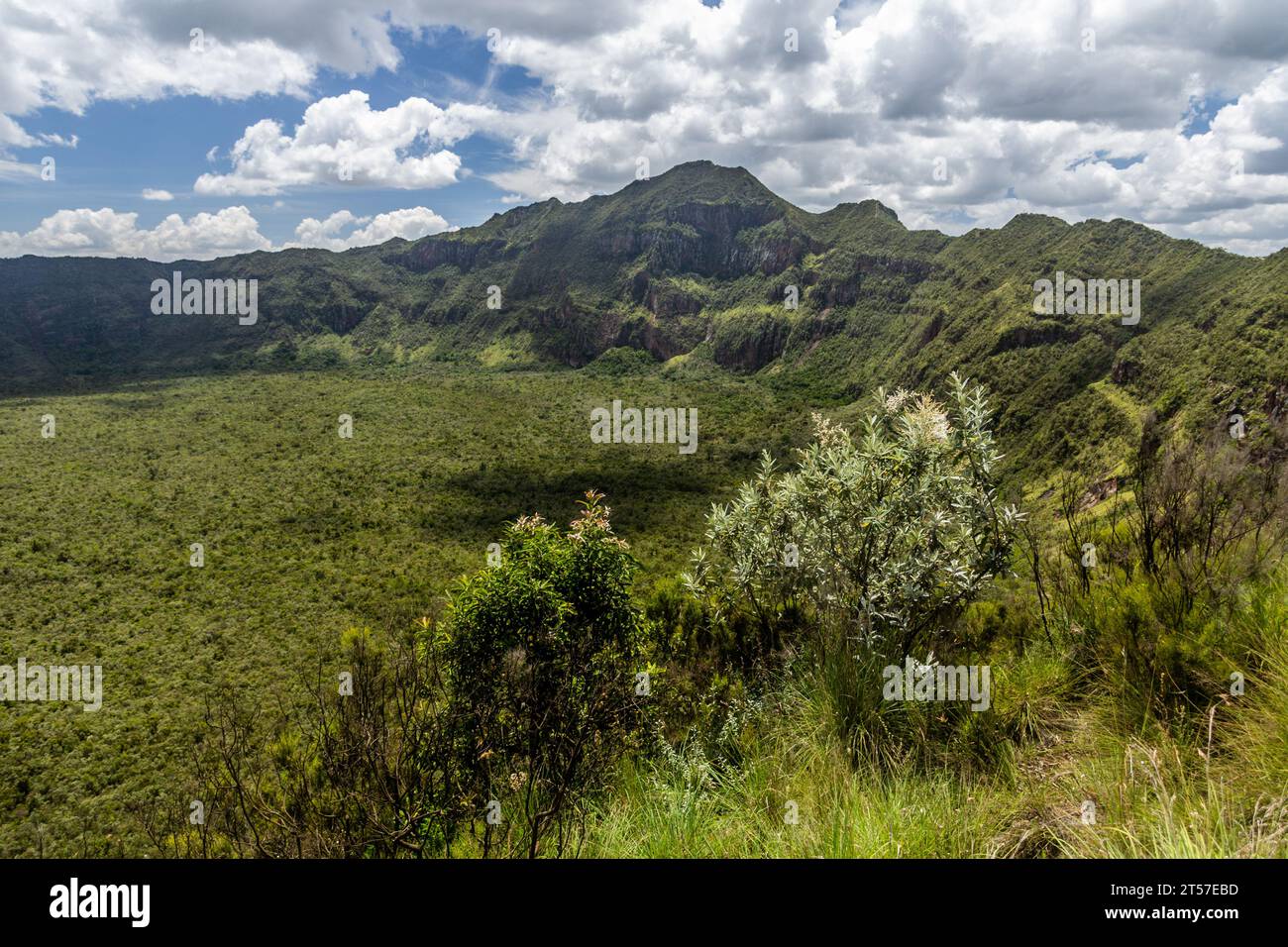 View of Longonot volcano crater, Kenya Stock Photo - Alamy