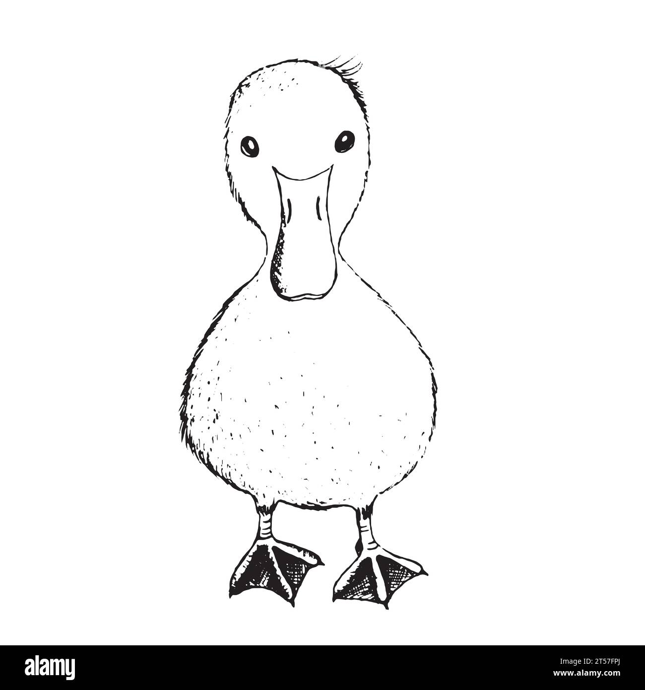 Coloring book happy birds for kids. Funny birds, flowers, leaves and ... Coloring book happy birds for kids. Funny birds, flowers, leaves and ...