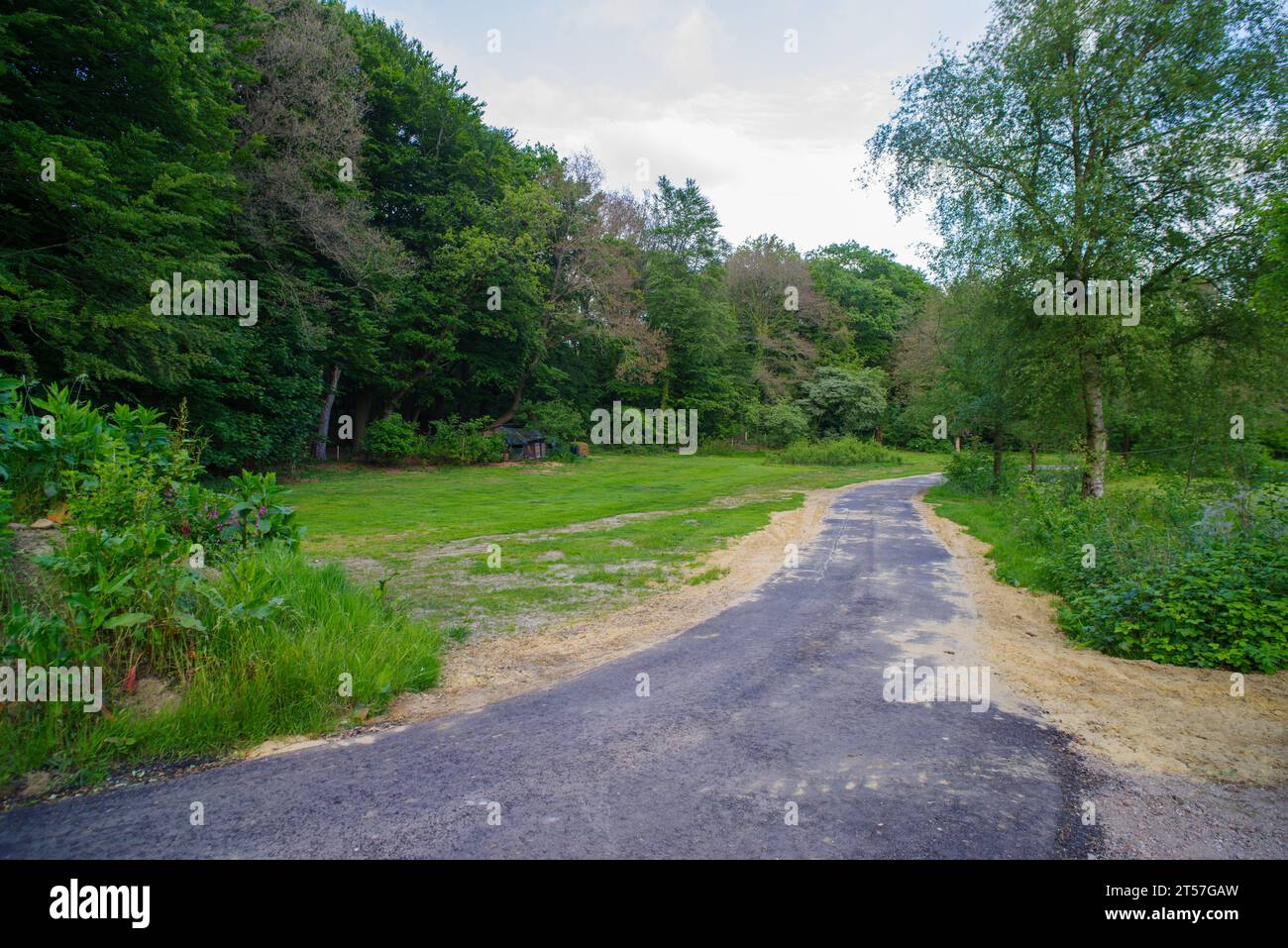 asphalt road along an empty camping place Stock Photo - Alamy