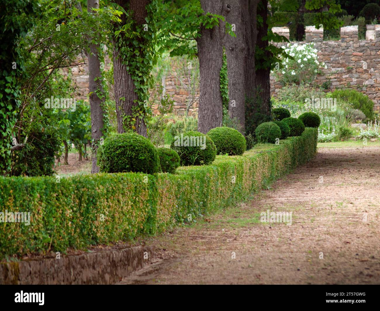 Topiary in France Stock Photo - Alamy