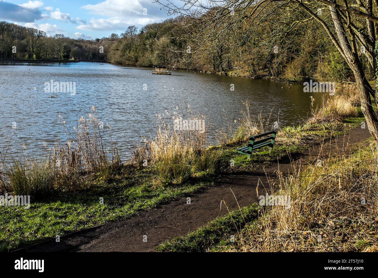Yarrow valley hi-res stock photography and images - Alamy