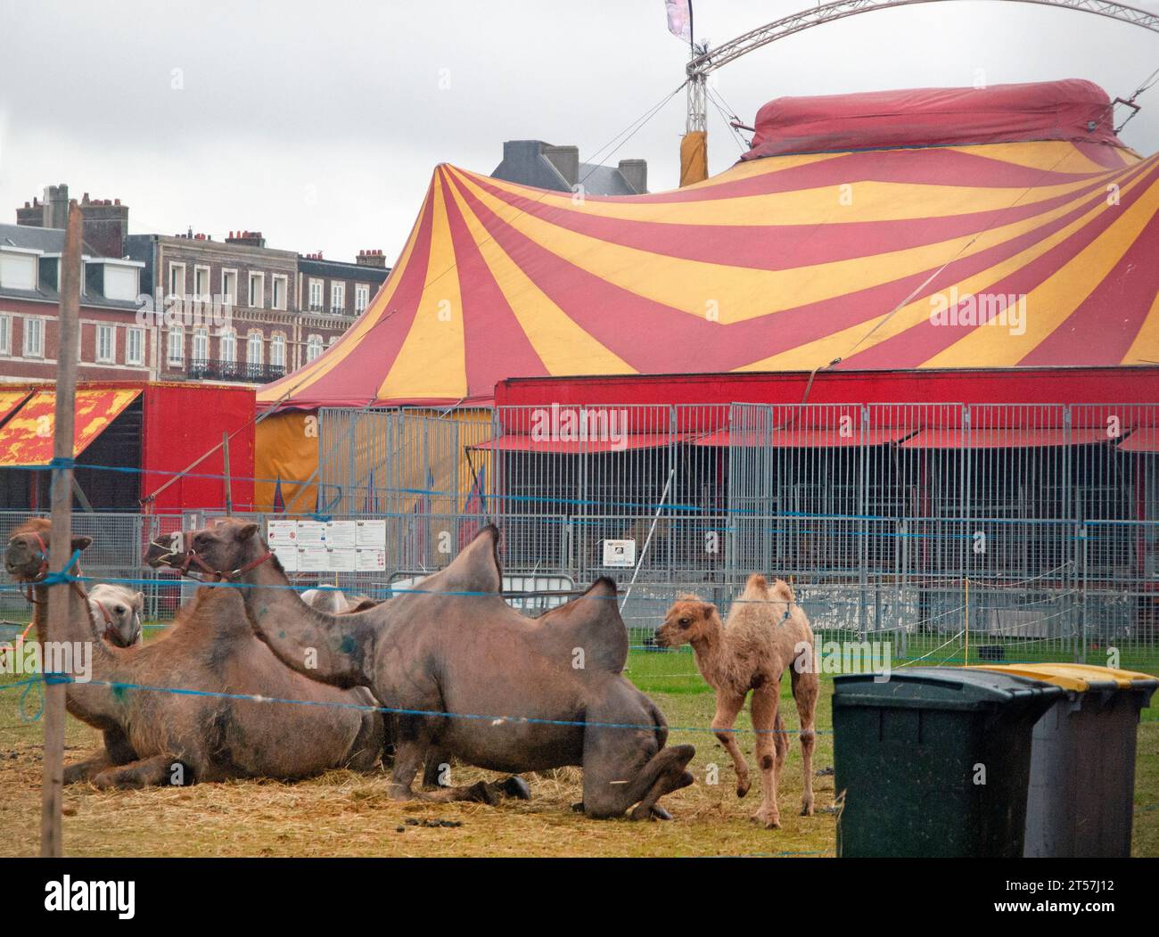 A circus in Dieppe, France Stock Photo - Alamy