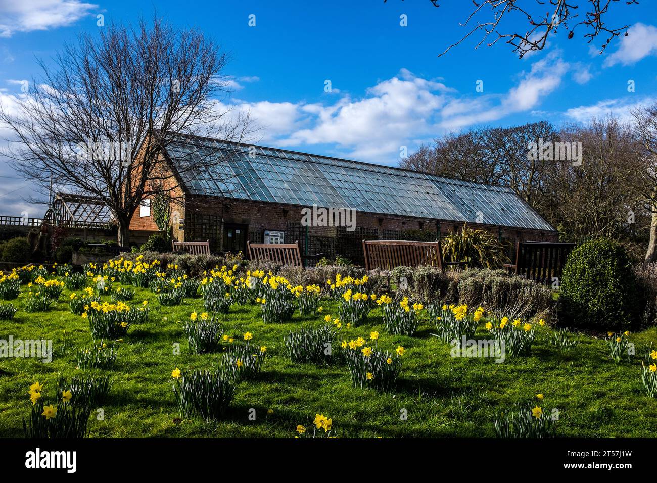 View of the Fernery at Botanic gardens Stock Photo - Alamy