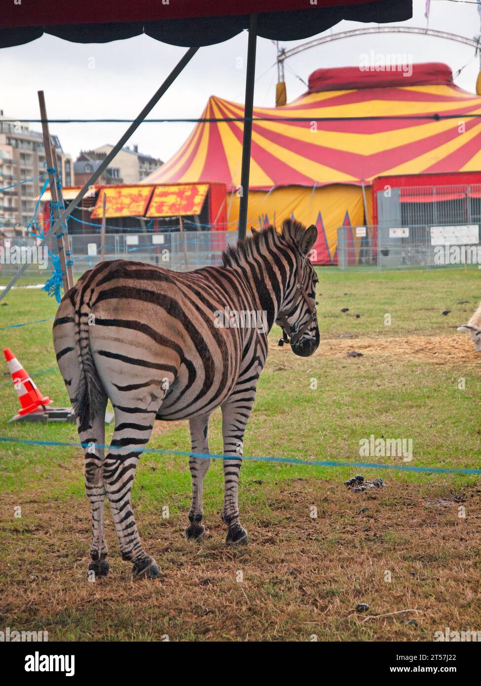 A circus in Dieppe, France Stock Photo - Alamy