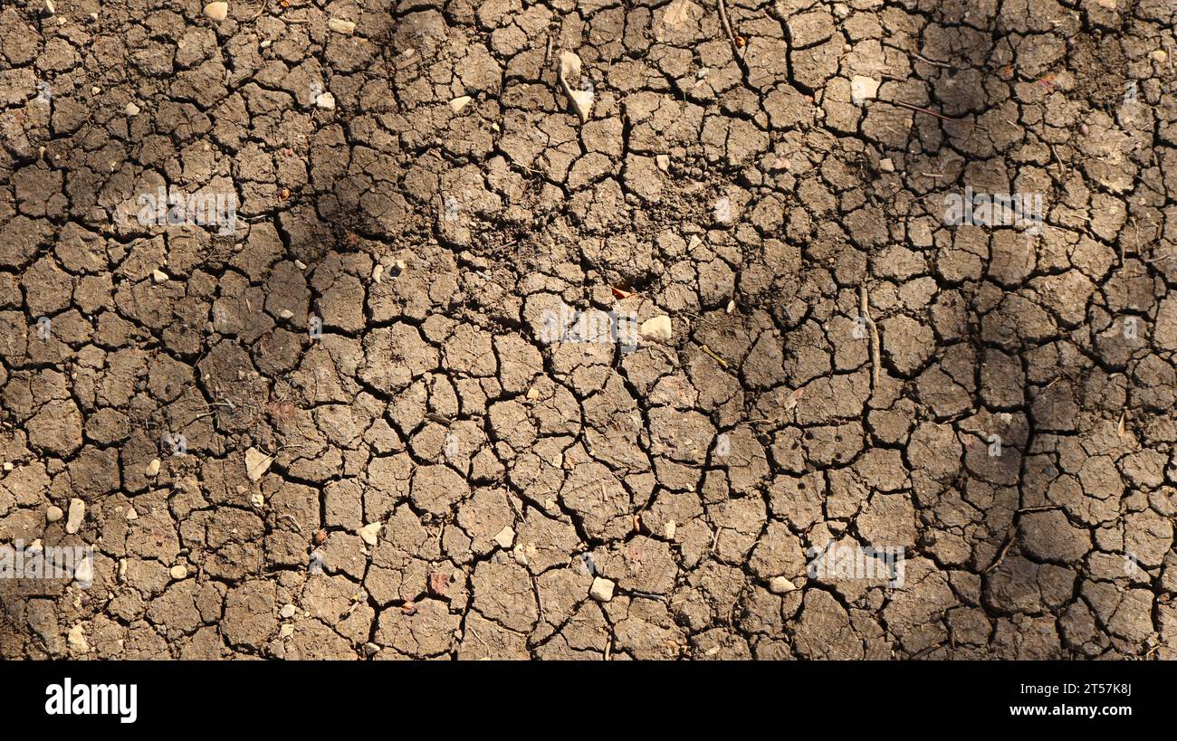 barren dry soil with cracked crust as a natural background on the theme of climate change and ...