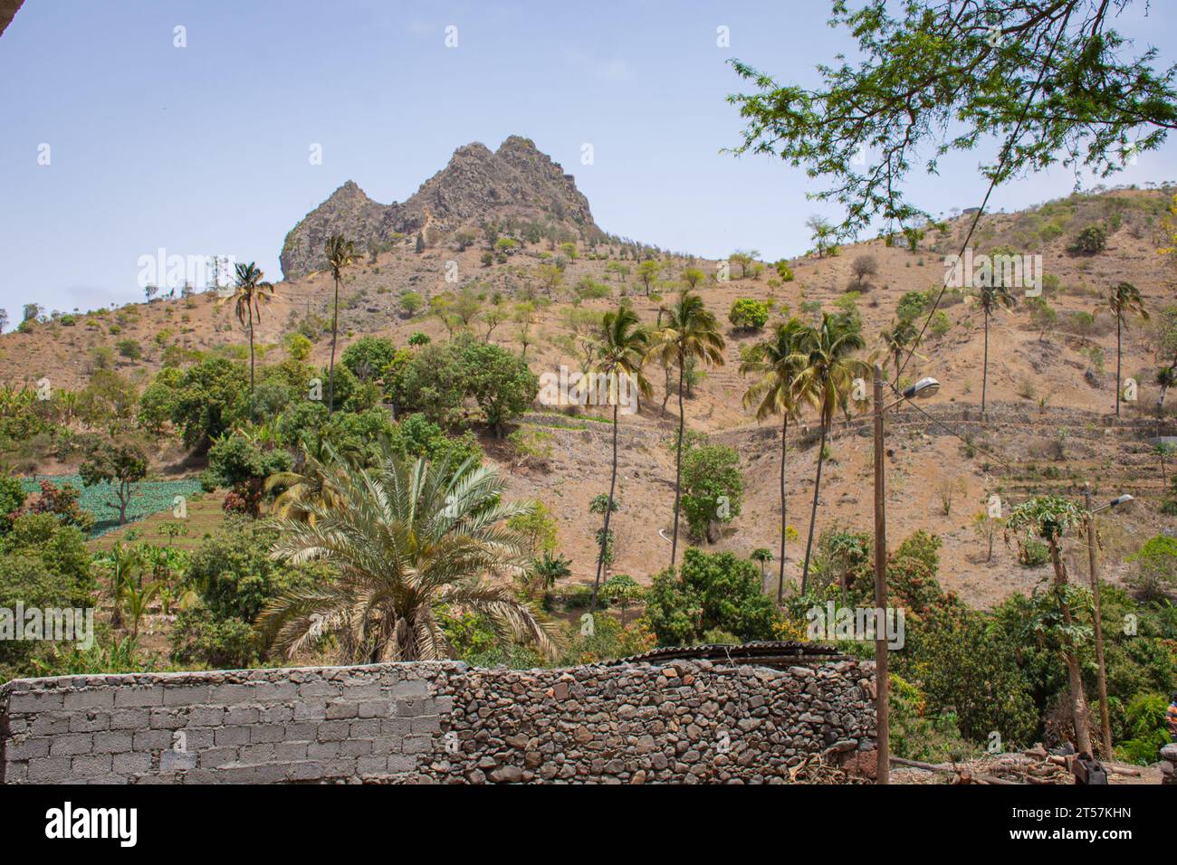 papaya palm trees and shrubs in a mountain valley on Santiago, Cape ...
