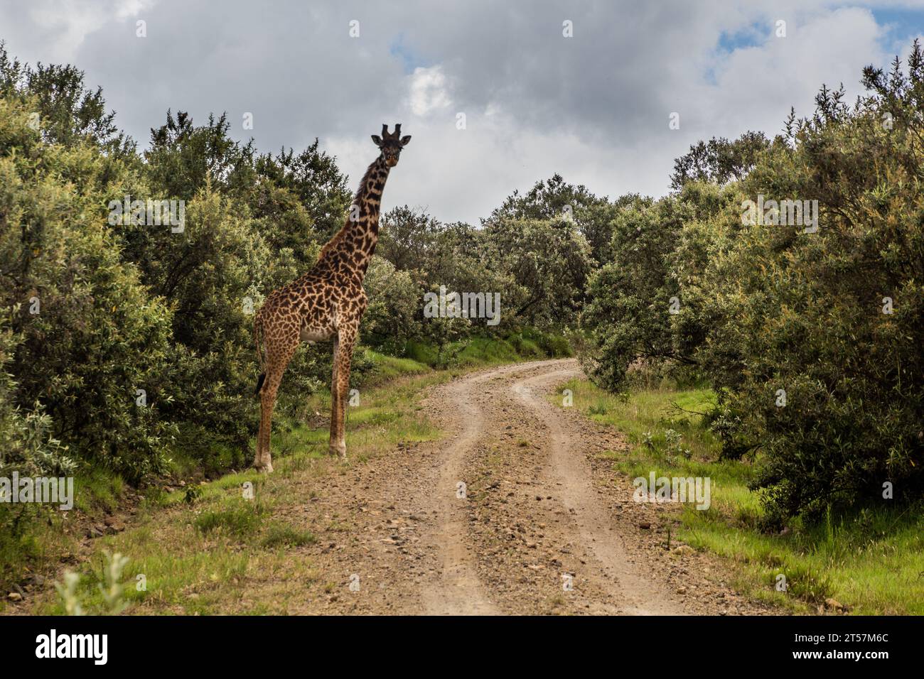 Hell gate national park kenya hi-res stock photography and images - Alamy