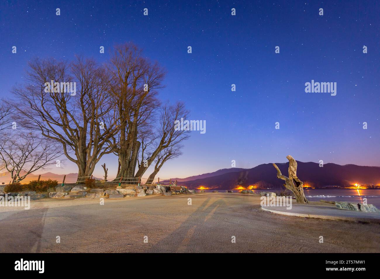 Big trees in winter and a sky full of stars in Dumulmeori, Yangpyeong ...