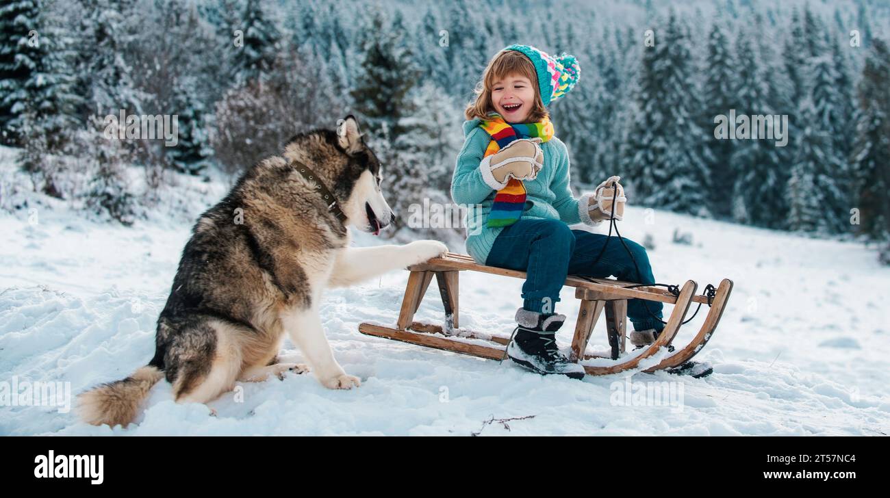 Kid with dog sliding with sledge in the winter snow Stock Photo - Alamy