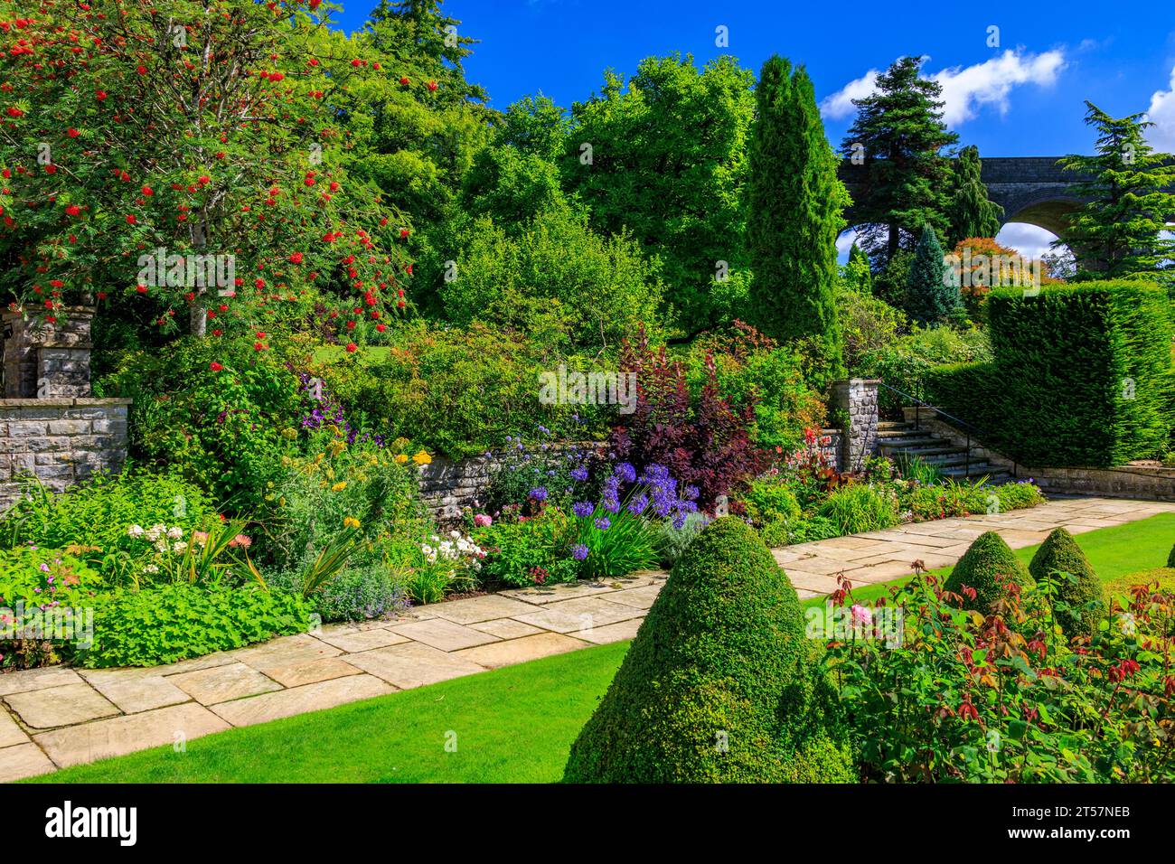 The colourful borders and topiary hedges in the parterre at Kilver ...
