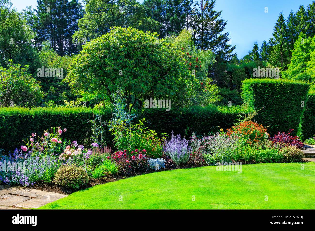 The colourful borders and topiary hedges in the parterre at Kilver ...