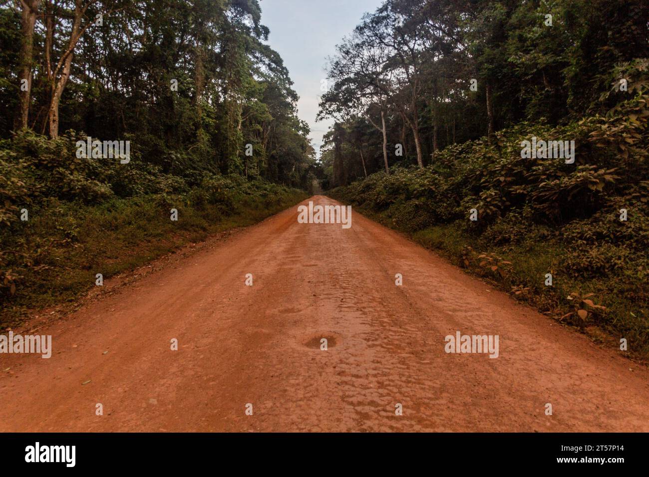 Trees road scenery kenya hi-res stock photography and images - Alamy