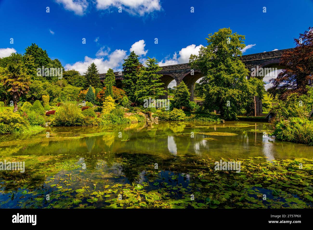 The view across the lake towards the disused railway viaduct at Kilver ...