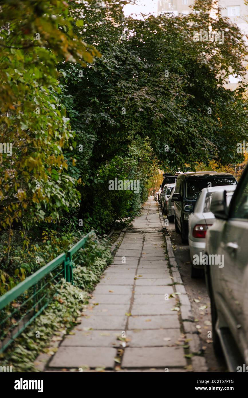Pedestrian path made of slabs in the courtyard of an apartment building ...