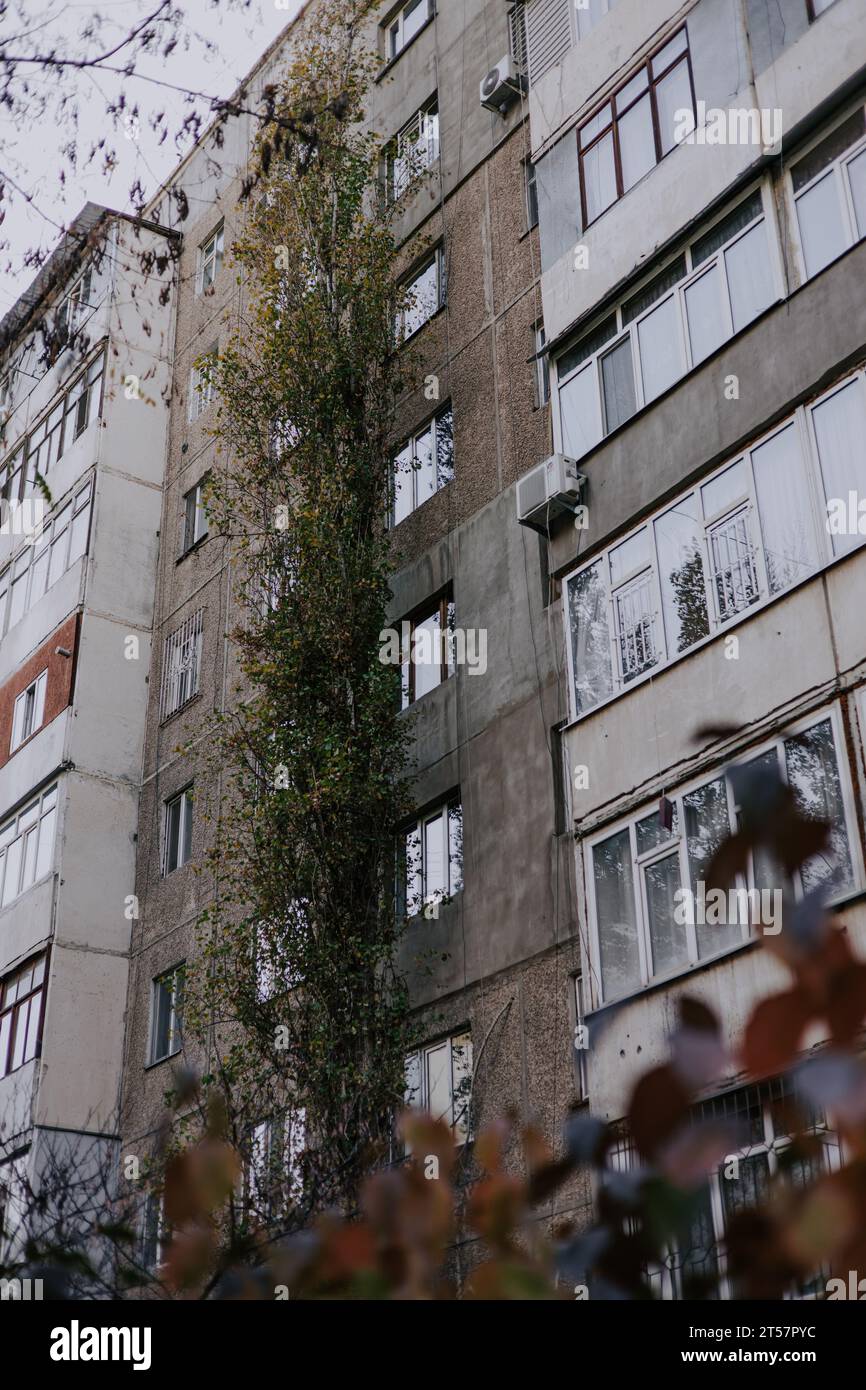 Typical Soviet residential panel house. Popular housing from the times ...