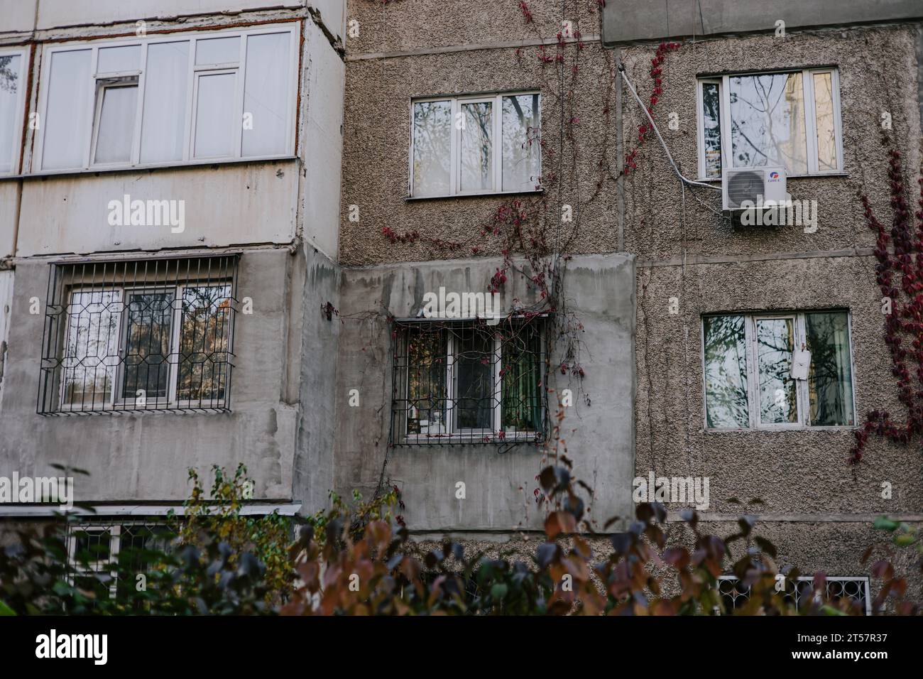 Different types Balconies and windows entwined with red ivy leaves in ...