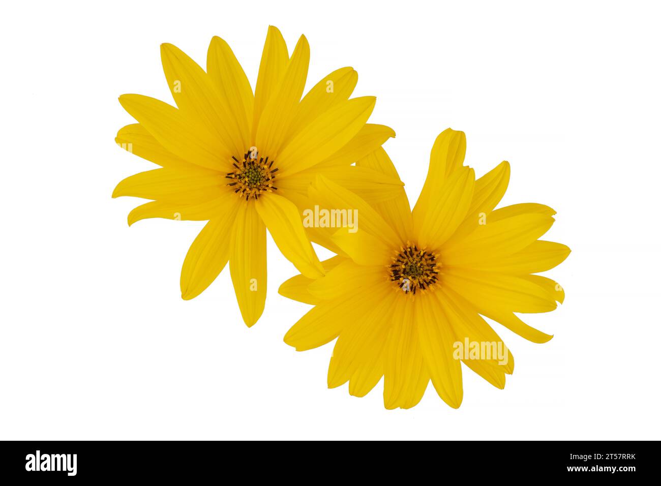 Beautiful wooden background light Cut Out Stock Images & Pictures - Alamy