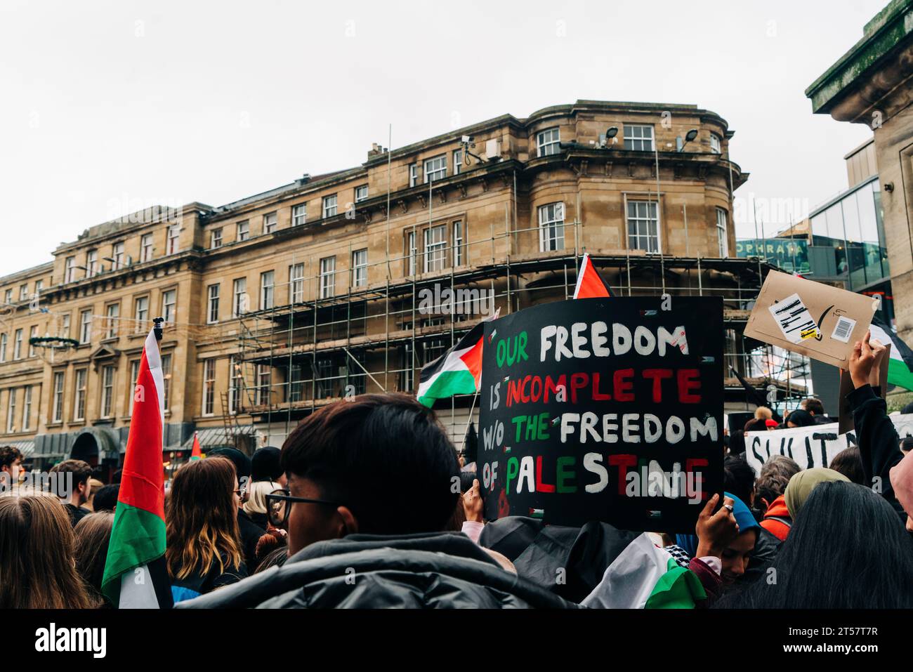 Newcastle Upon Tyne, England, UK - Oct 28 2023. Crowds hold pro ...