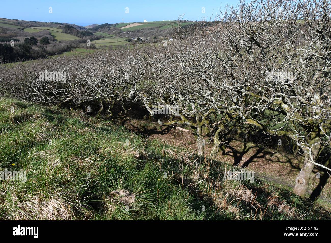 Kilkhampton hi-res stock photography and images - Alamy