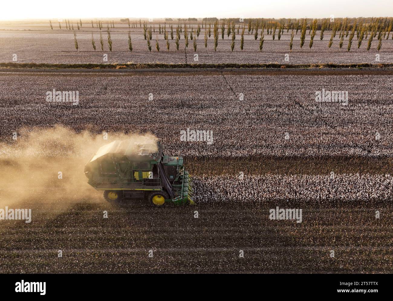 Urumqi. 2nd Nov, 2023. This aerial photo taken on Nov. 2, 2023 shows a ...
