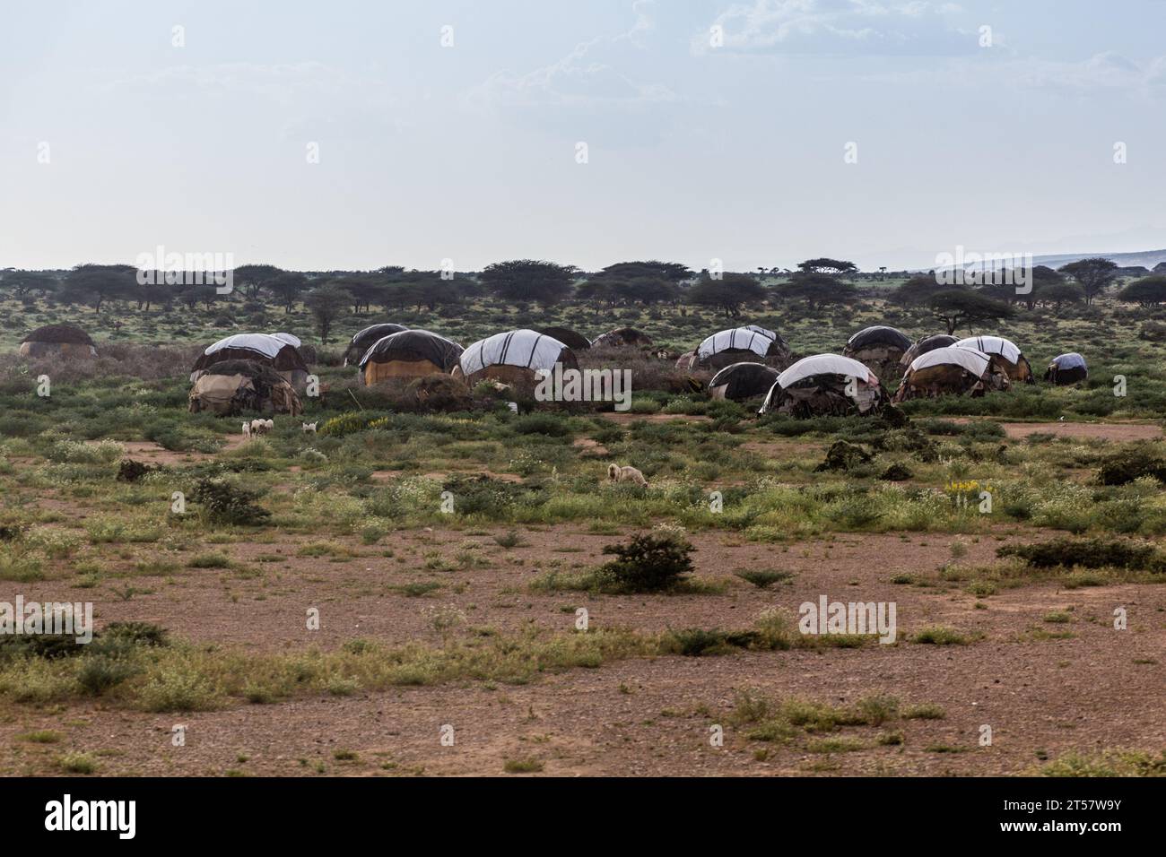 Kargi hi-res stock photography and images - Alamy