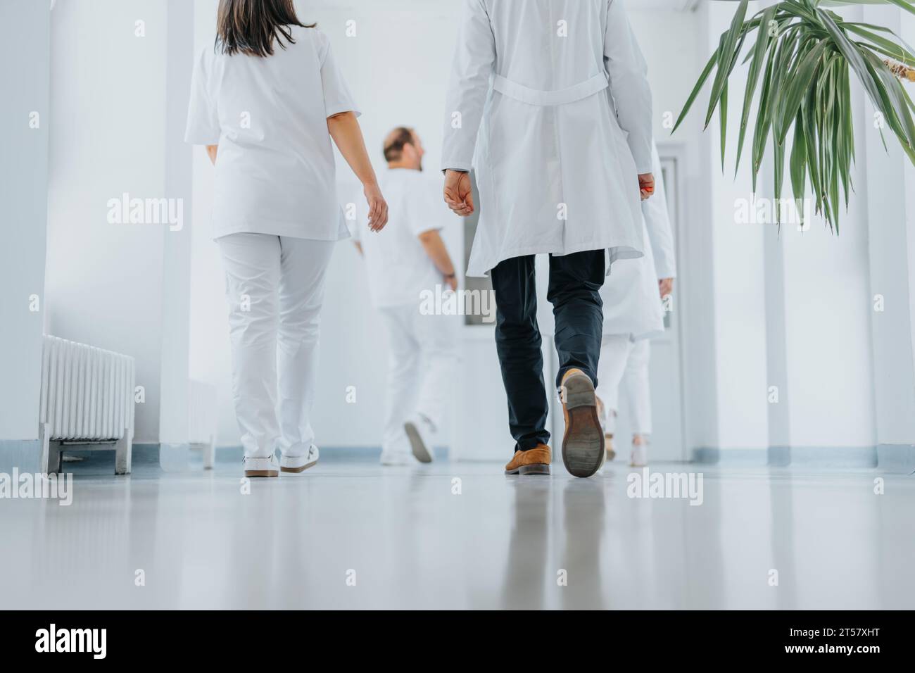 Healthcare professionals discussing patients results, collaborating in ...