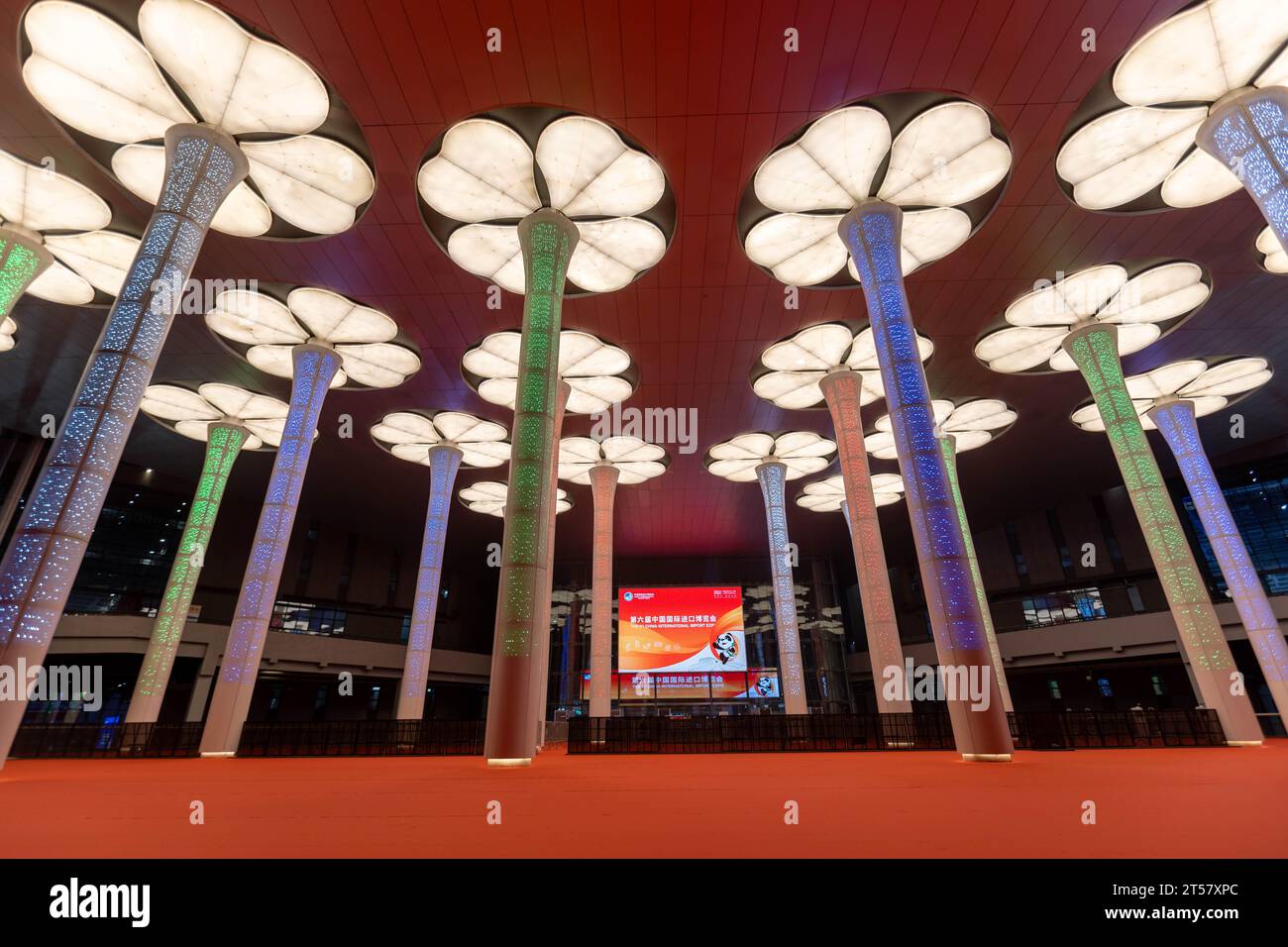 Shanghai. 3rd Nov, 2023. This photo taken on Nov. 3, 2023 shows the ...