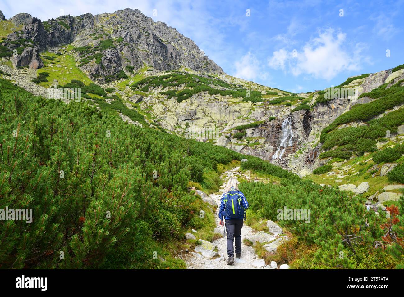 Tourist in the Mlynicka Valley, Vysoke Tatry (Tatra Mountains ...