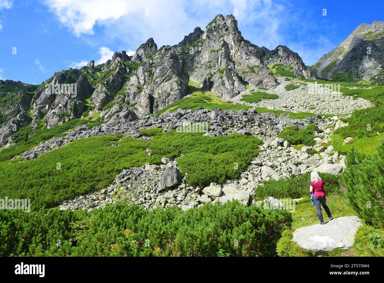 Tourist in the Mlynicka Valley, Vysoke Tatry (Tatra Mountains ...