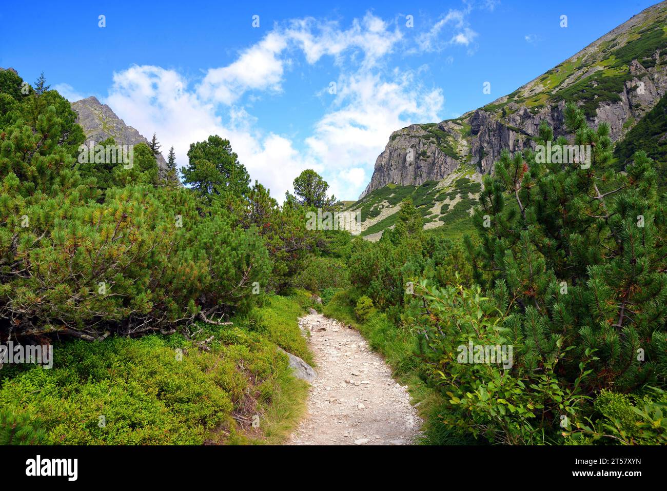Mlynicka Valley In Vysoke Tatry (Tatra Mountains), Slovakia Stock Photo ...