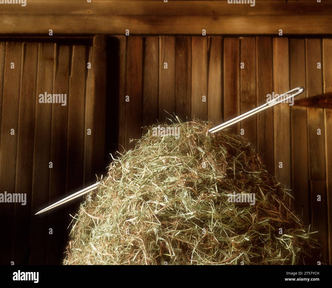 Giant needle in a haystack beside barn doors Stock Photo - Alamy