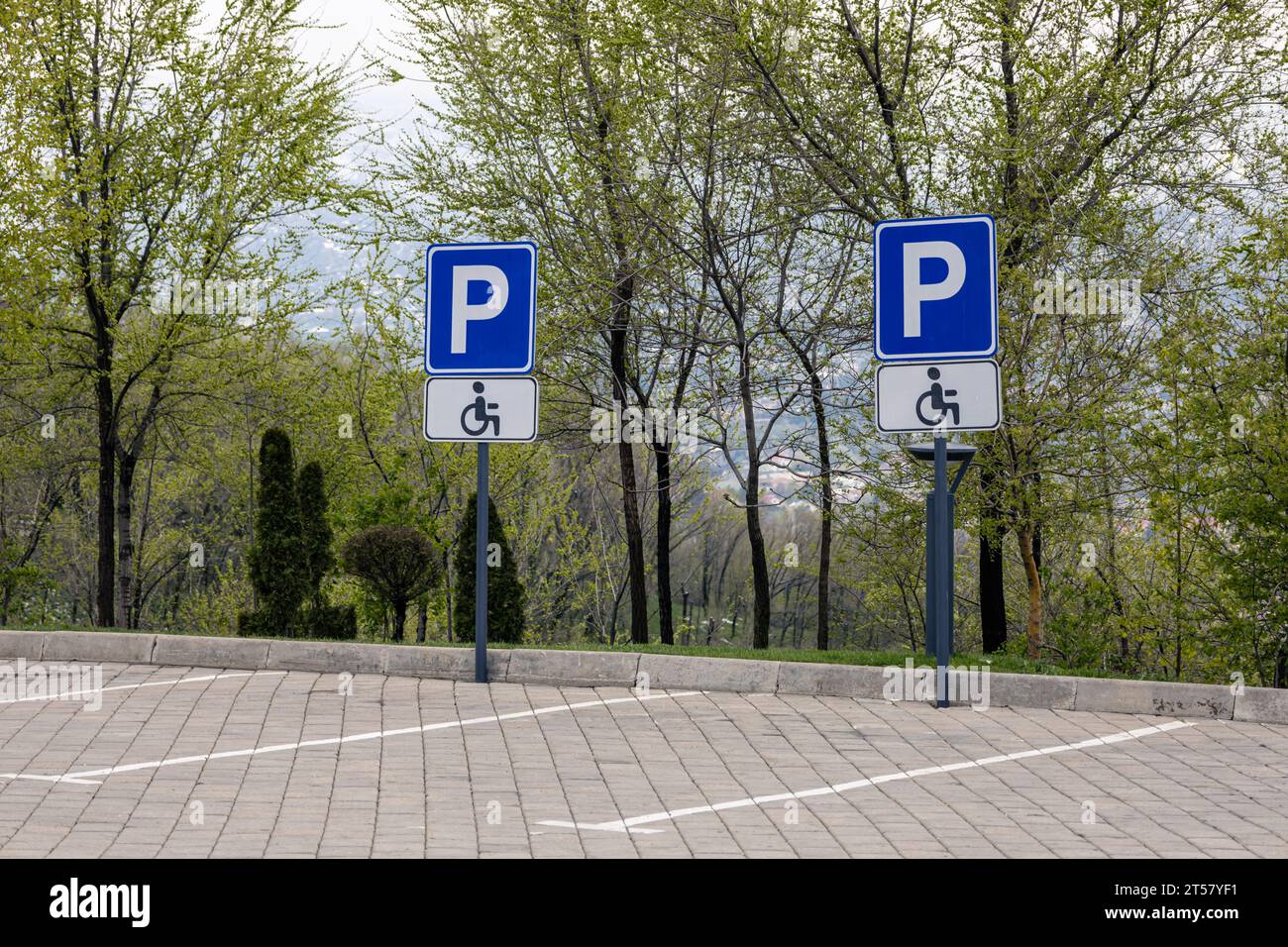 Two Disabled parking traffic signs fixed on poles. Road markings for ...